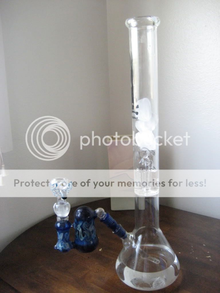 My favorite bong- From dirty to clean (lots of pics) | Grasscity Forums ...