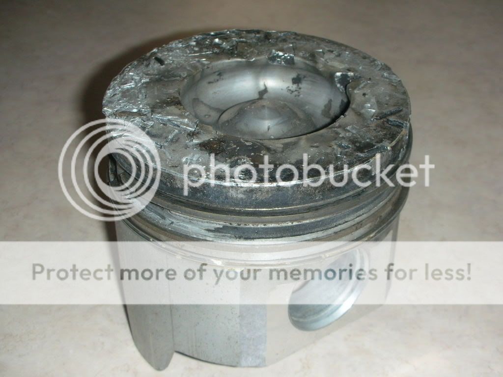 Check out this piston | Ford Powerstroke Diesel Forum