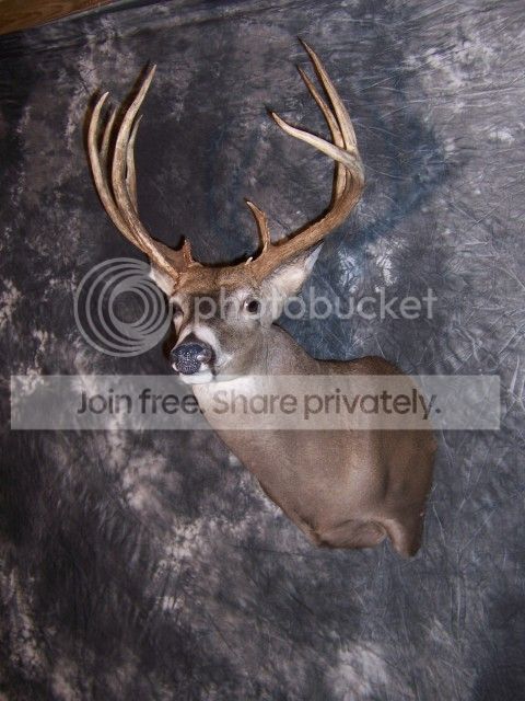 Mckenzie 6900 form | The HuntingPA.com Outdoor Community