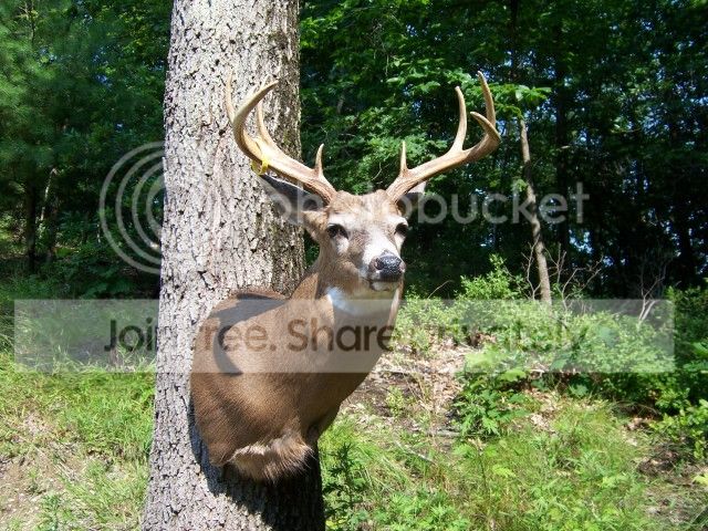 Mckenzie 6900 form | The HuntingPA.com Outdoor Community